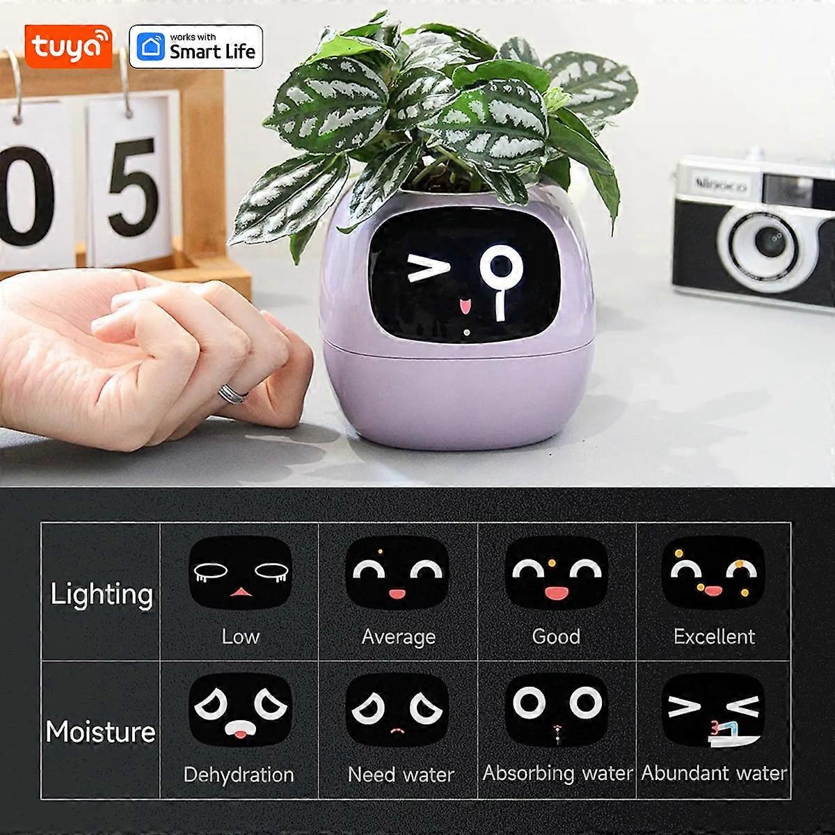 Tuya Ivy AI Smart Planter Self-Watering Garden Pot Indoor Auto Plant ...