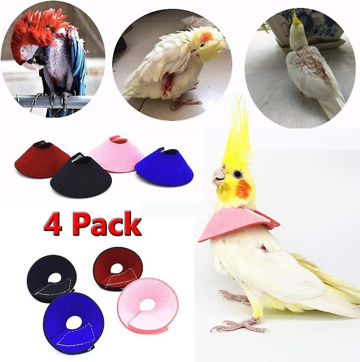 4pack Pet Parrot Anti-bite Elizabethan Collars, Anti-grab Feather ...