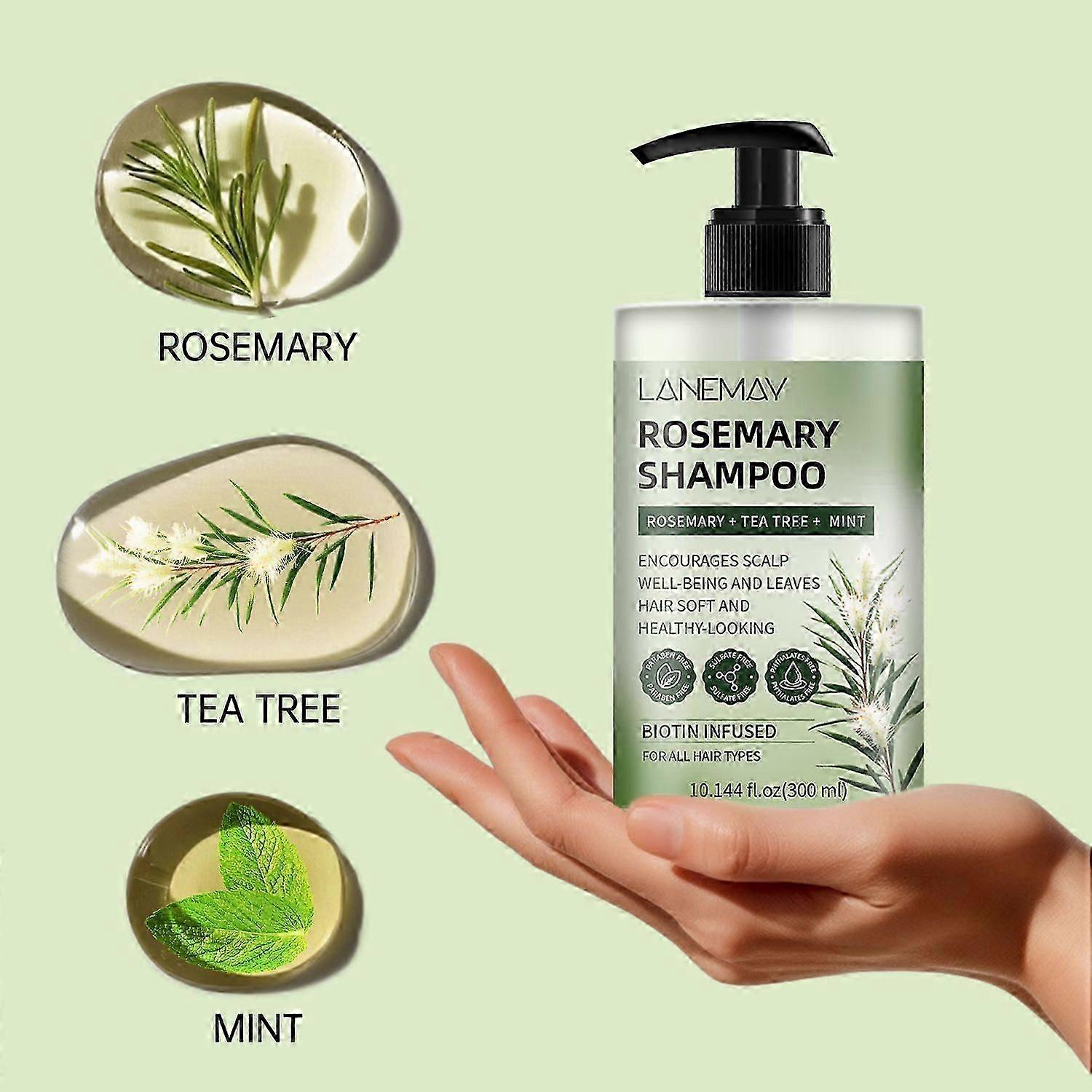Rosemary Shampoo with Tea Tree, Mint & Biotin, Scalp Wellness Formula ...
