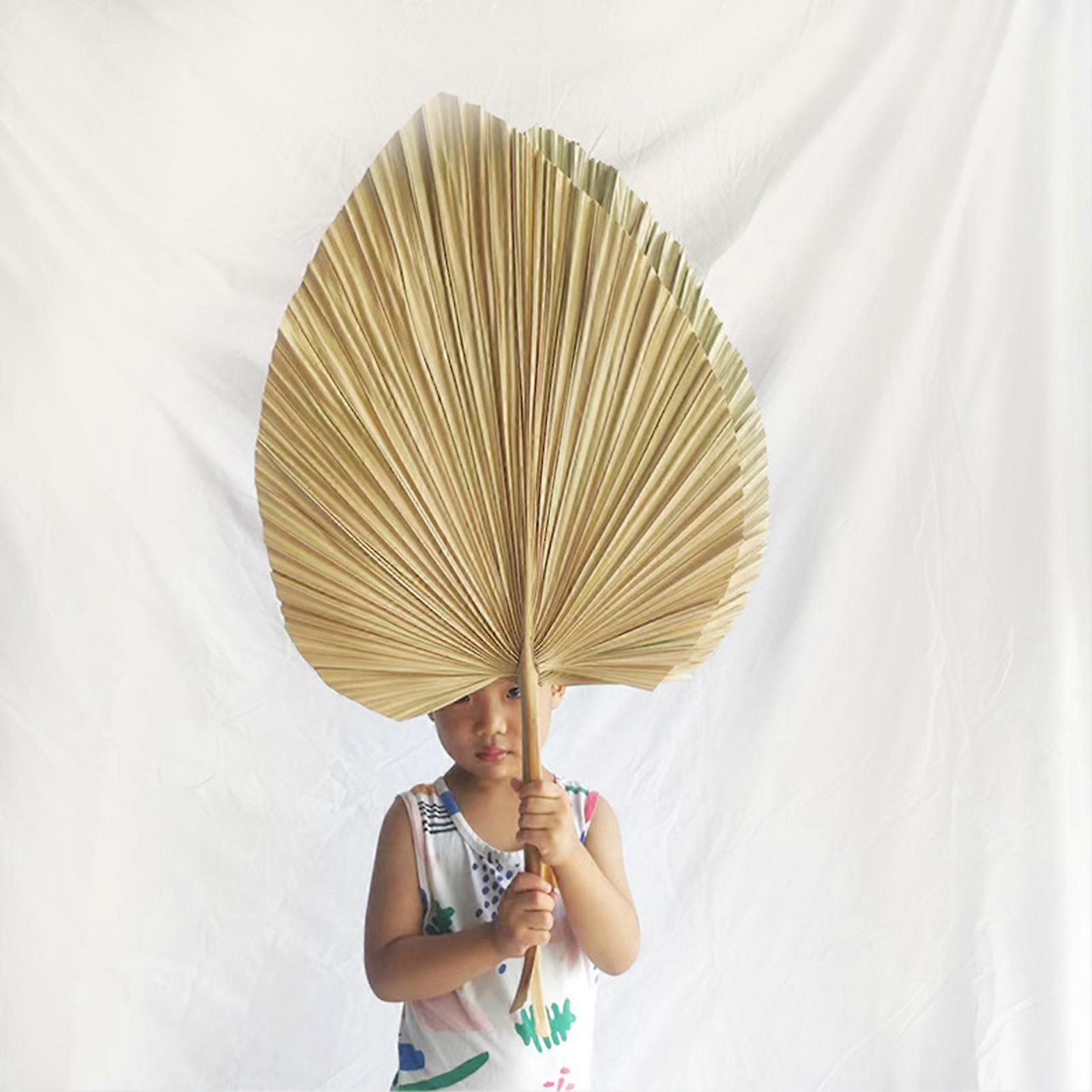 Large Natural Palm Leaf Decor Heart Round Shape Palm Fans for Home Wall ...